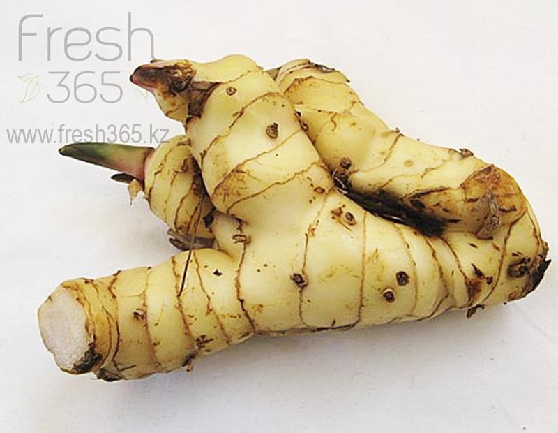 Корень галангал / Galanga Root | fresh365 - свежая зелень и ягоды ...
